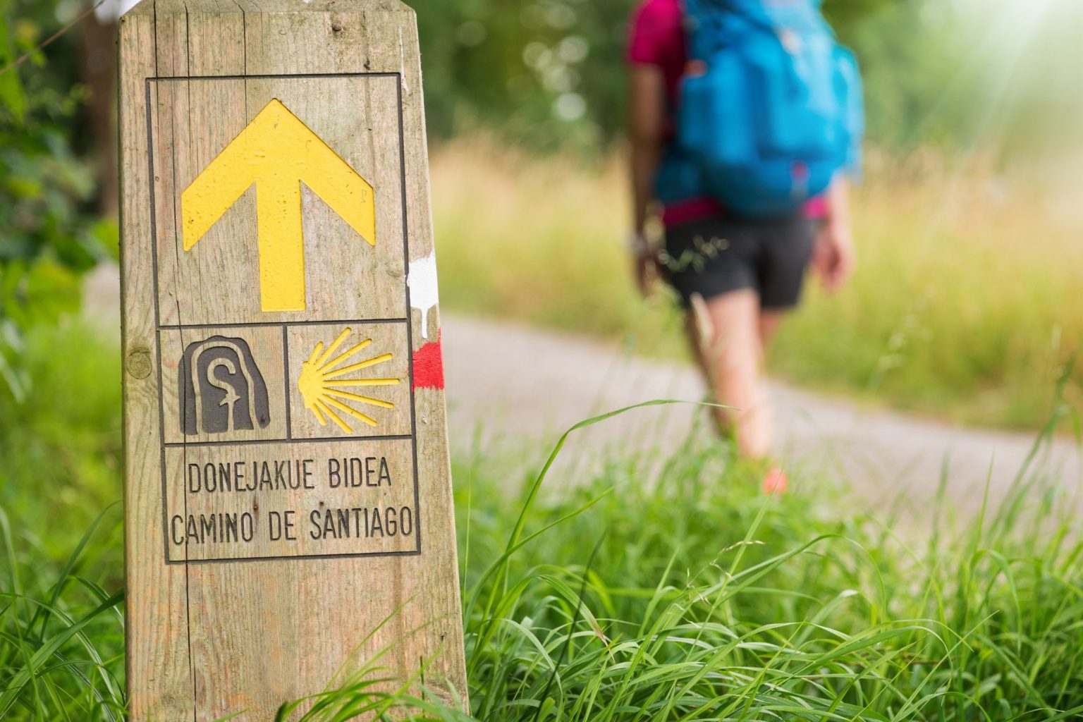 How many pilgrims walked the Camino in 2021? - JWT Travel